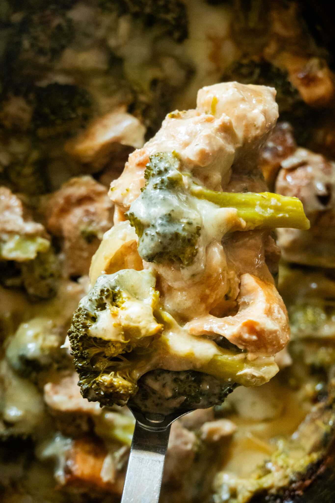 Crockpot Chicken and Broccoli (Cheesy!) - Brooklyn Farm Girl
