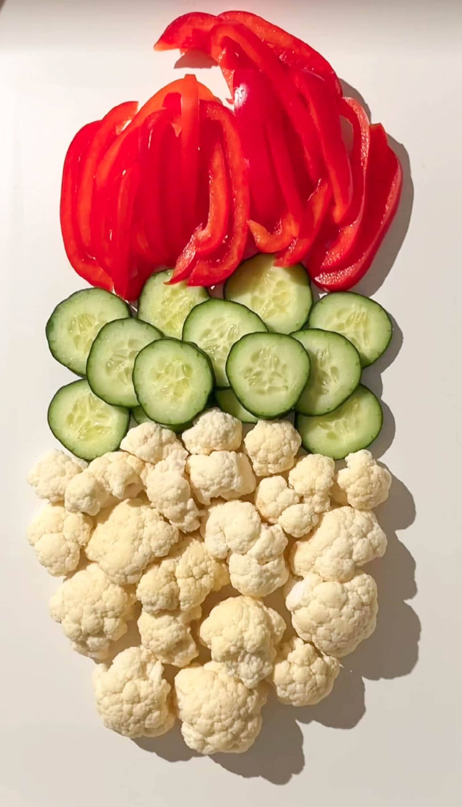 Santa Vegetable Tray - Brooklyn Farm Girl