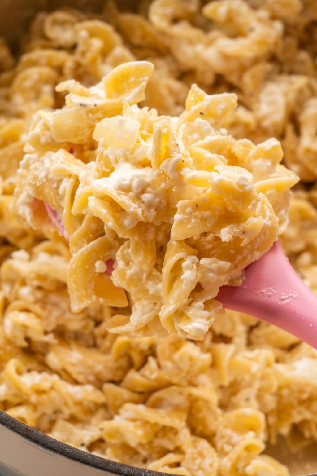 Polish Cottage Cheese and Noodles - Brooklyn Farm Girl