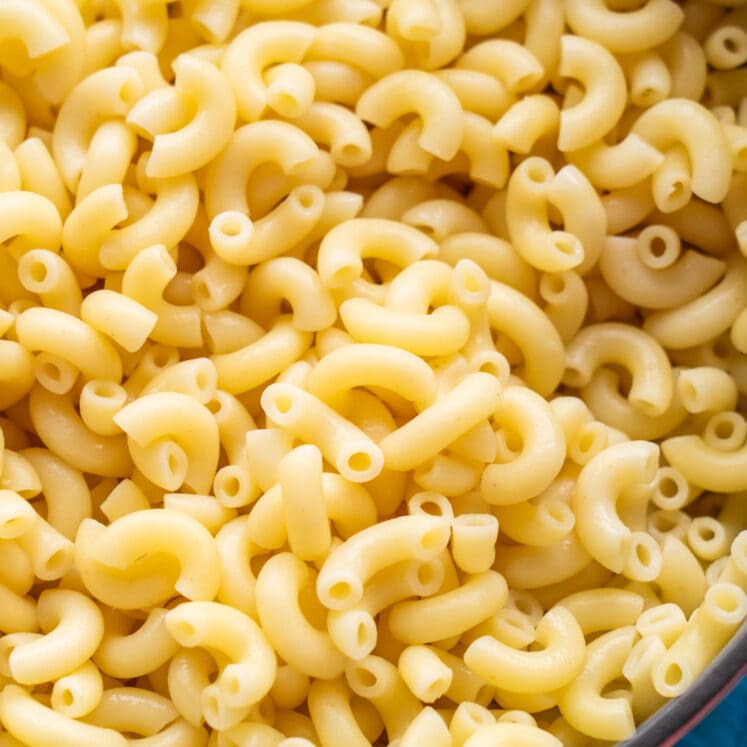 Macaroni Noodles with Tomatoes - Brooklyn Farm Girl