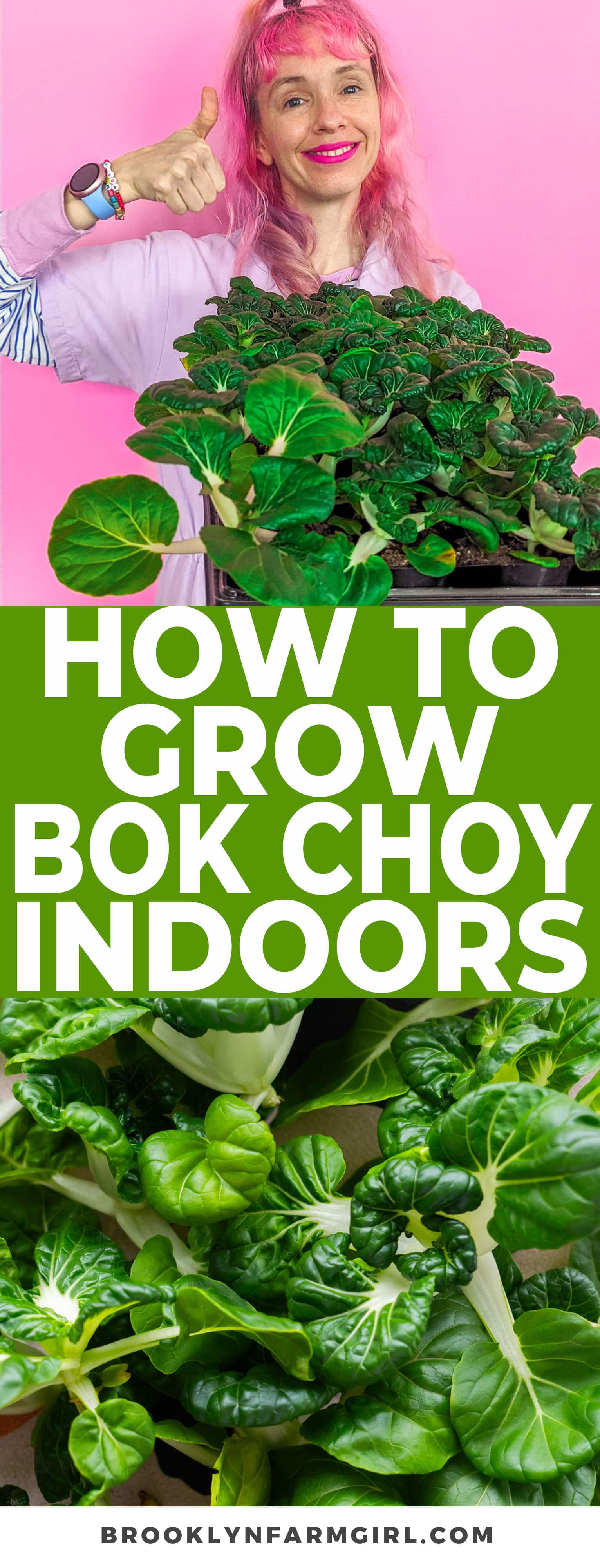 How to Grow Bok Choy Indoors - Brooklyn Farm Girl