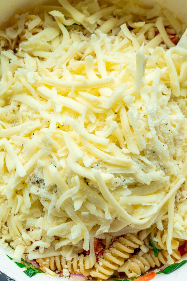 Pasta And Mozzarella Cheese Recipe – BLVB