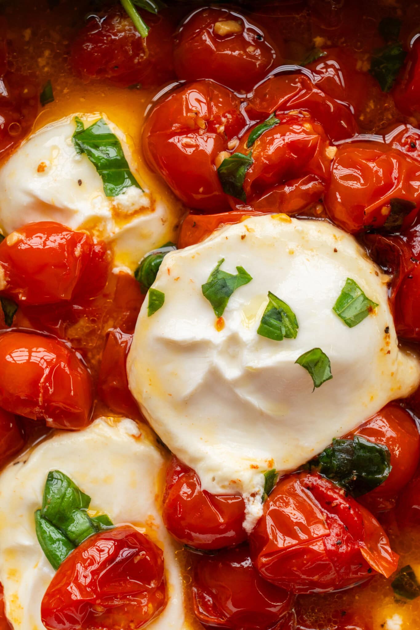 So Fresh and Juicy Roasted Cherry Tomatoes with Burrata - Brooklyn Farm ...