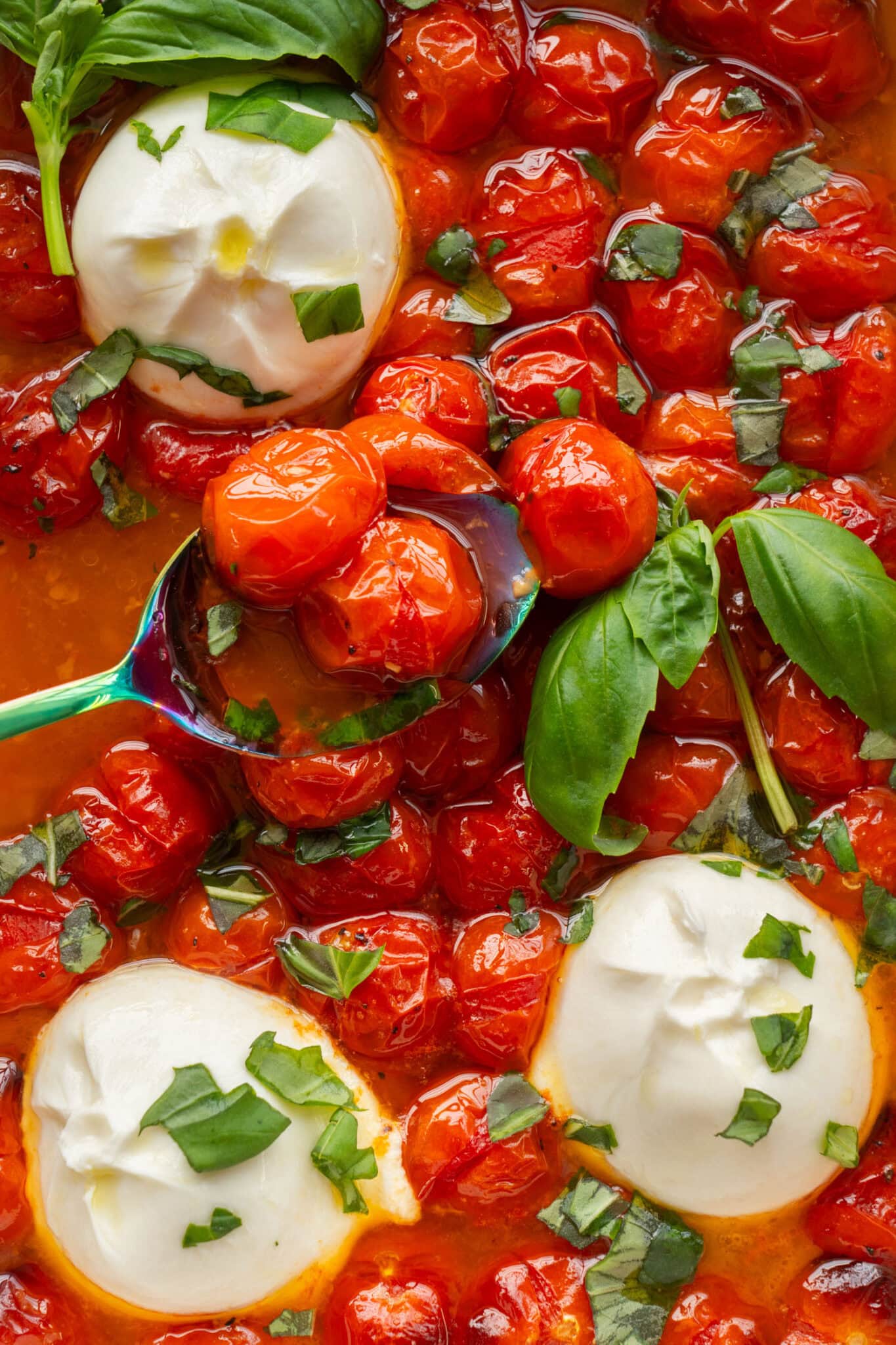 So Fresh and Juicy Roasted Cherry Tomatoes with Burrata - Brooklyn Farm ...