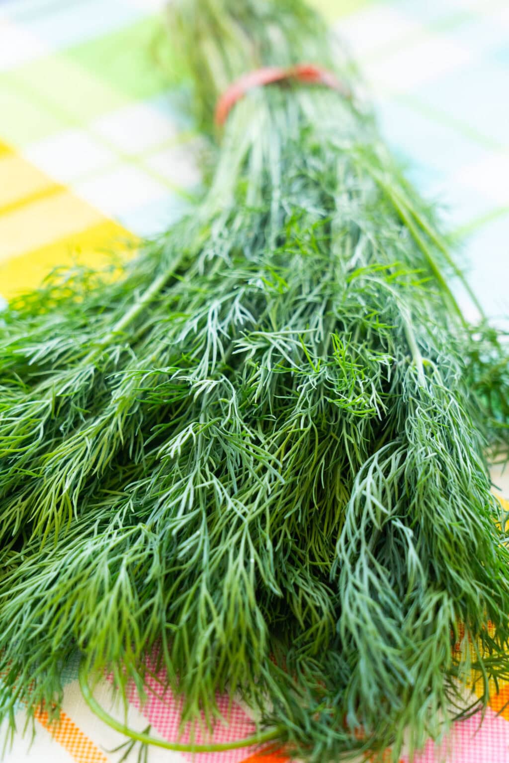 So Soft Cottage Cheese Dill Bread - Brooklyn Farm Girl