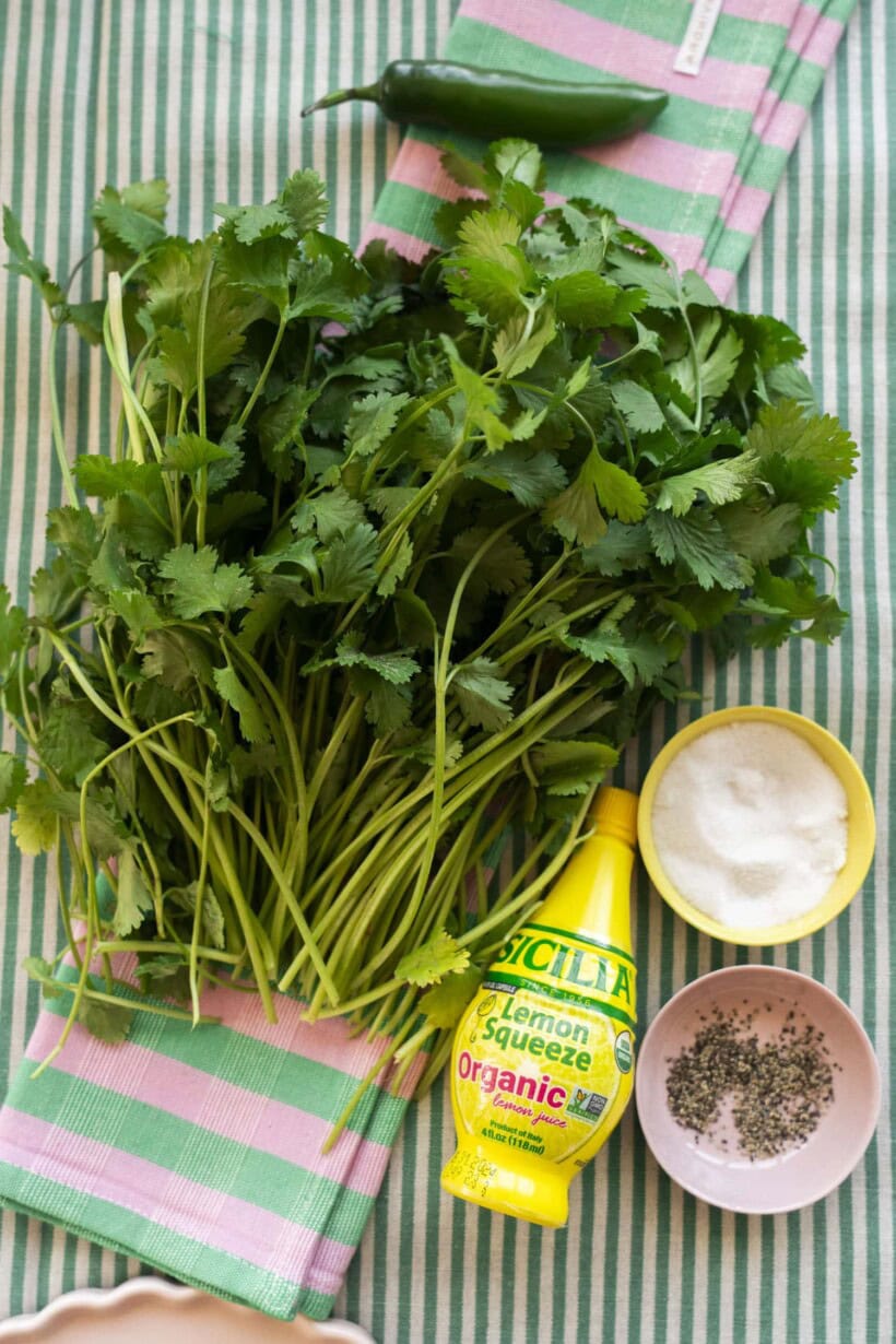 5 Minute Cilantro Green Chutney (Spicy or Mild) - Brooklyn Farm Girl