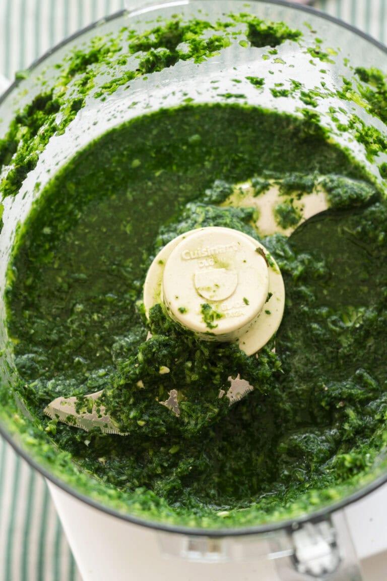 5 Minute Cilantro Green Chutney (Spicy or Mild) - Brooklyn Farm Girl