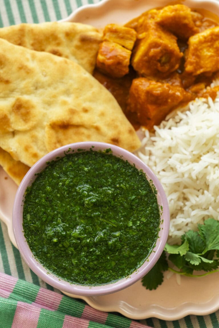 5 Minute Cilantro Green Chutney (Spicy or Mild) - Brooklyn Farm Girl