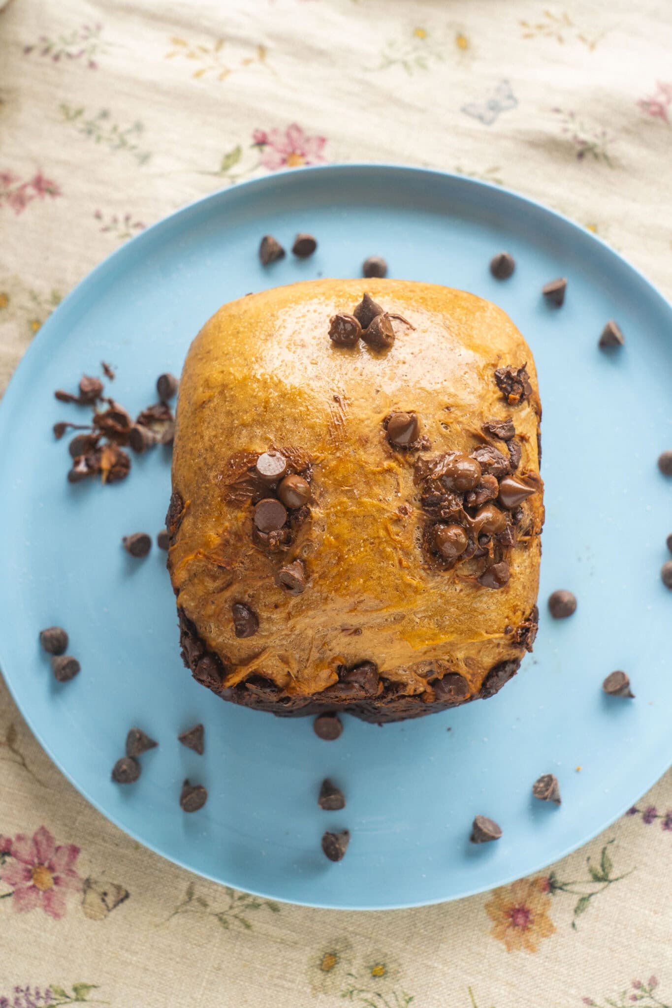 Bread Machine Chocolate Chip Bread - Brooklyn Farm Girl