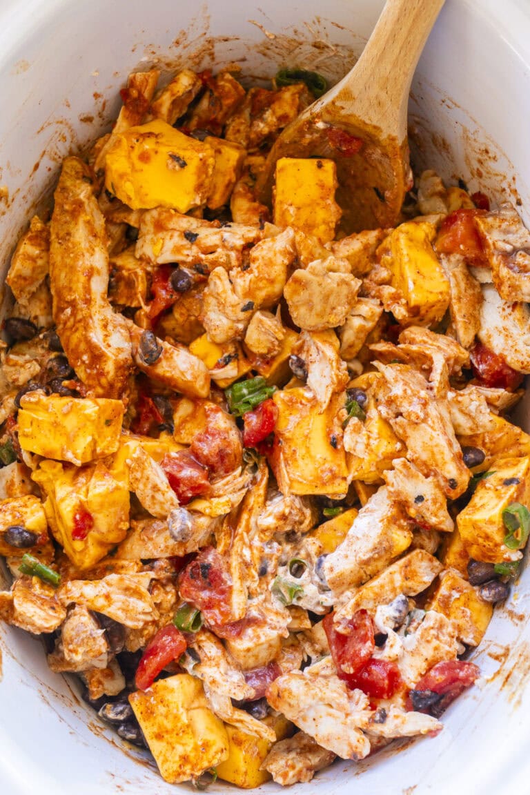 Crockpot Chicken Nacho Dip (Velveeta) - Brooklyn Farm Girl