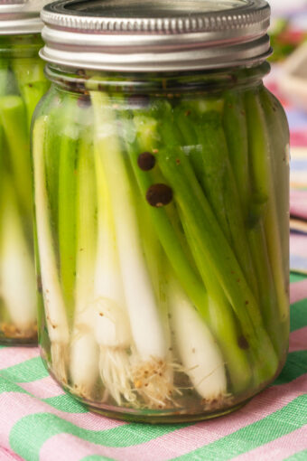 Canning Pickled Green Onions - Brooklyn Farm Girl