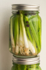 Canning Pickled Green Onions - Brooklyn Farm Girl