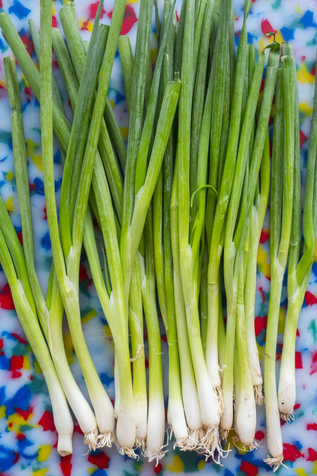 Canning Pickled Green Onions - Brooklyn Farm Girl