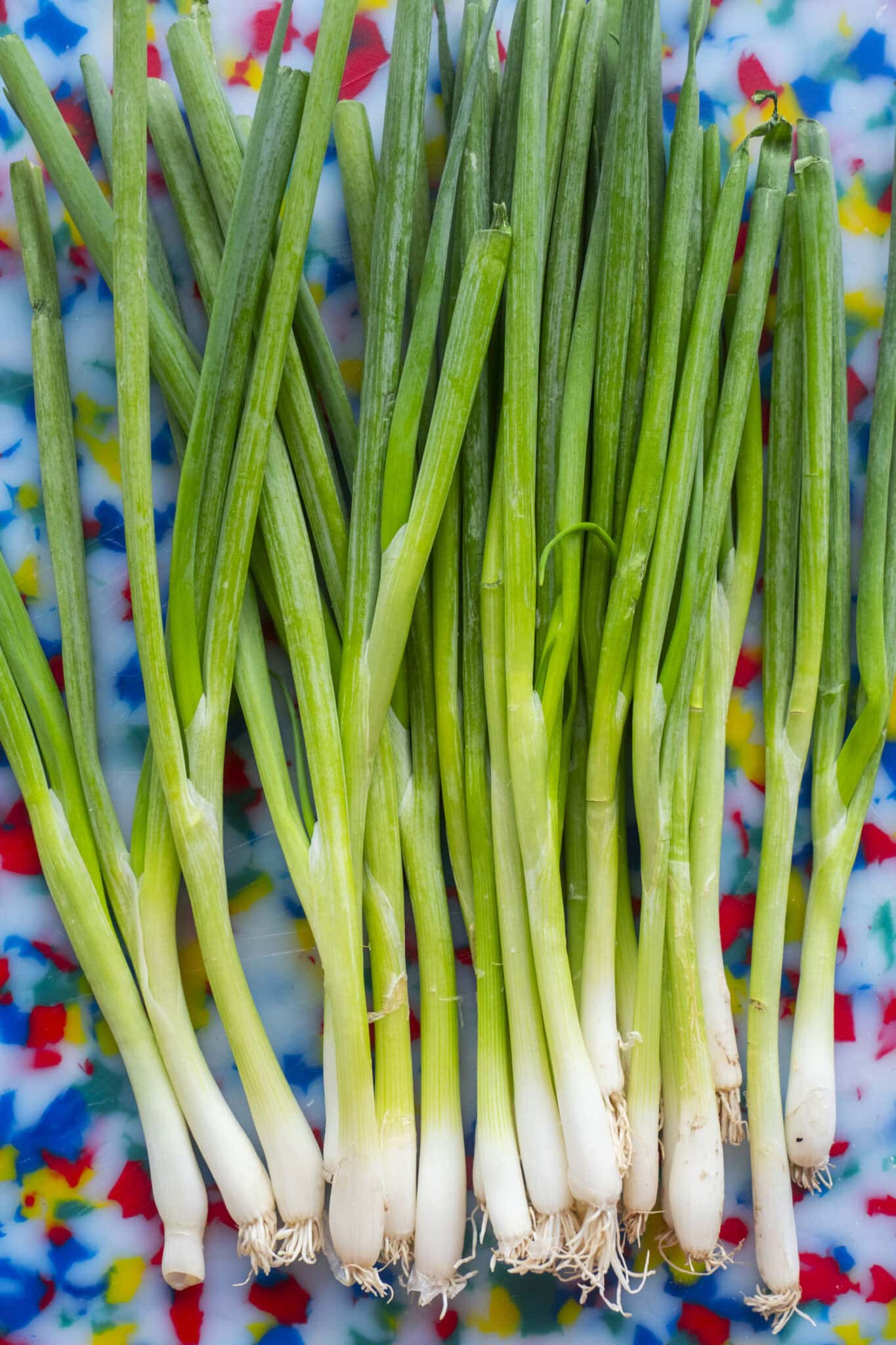 Canning Pickled Green Onions - Brooklyn Farm Girl