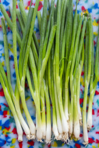 Canning Pickled Green Onions - Brooklyn Farm Girl