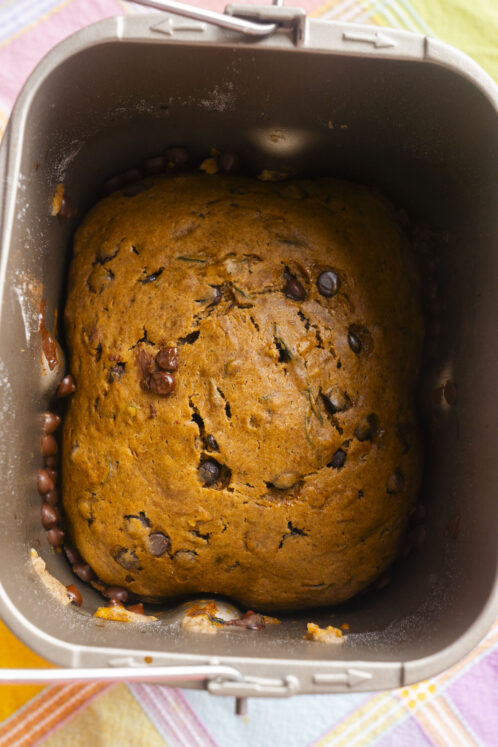 Bread Machine Cucumber Chocolate Chip Bread - Brooklyn Farm Girl