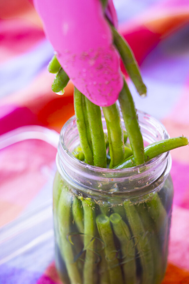 Easy Refrigerator Pickled Green Beans (No Canning) - Brooklyn Farm Girl
